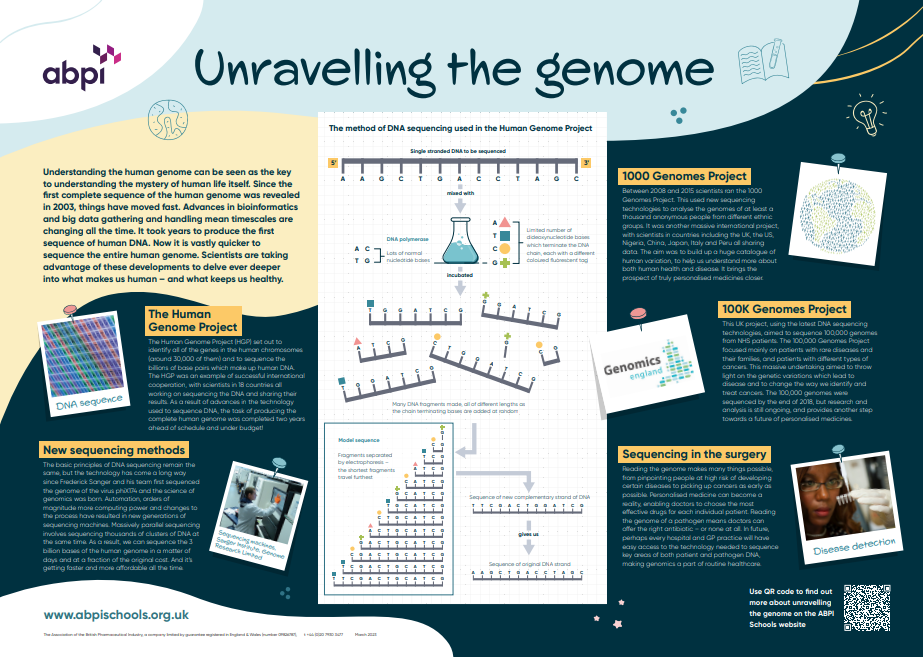 Human Genome Project Poster