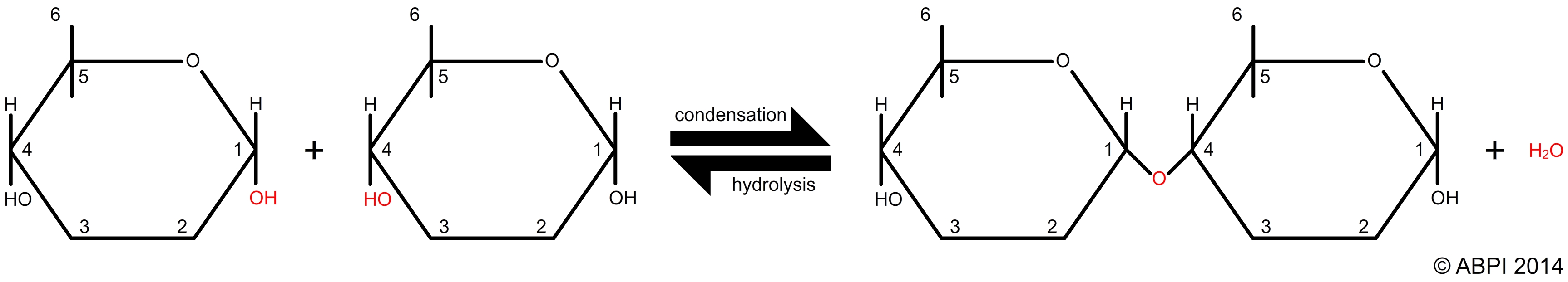 Organic chemistry