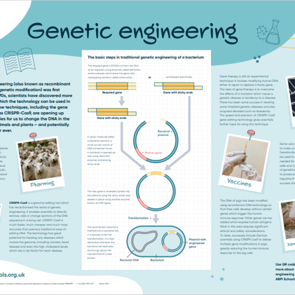 Genetic engineering