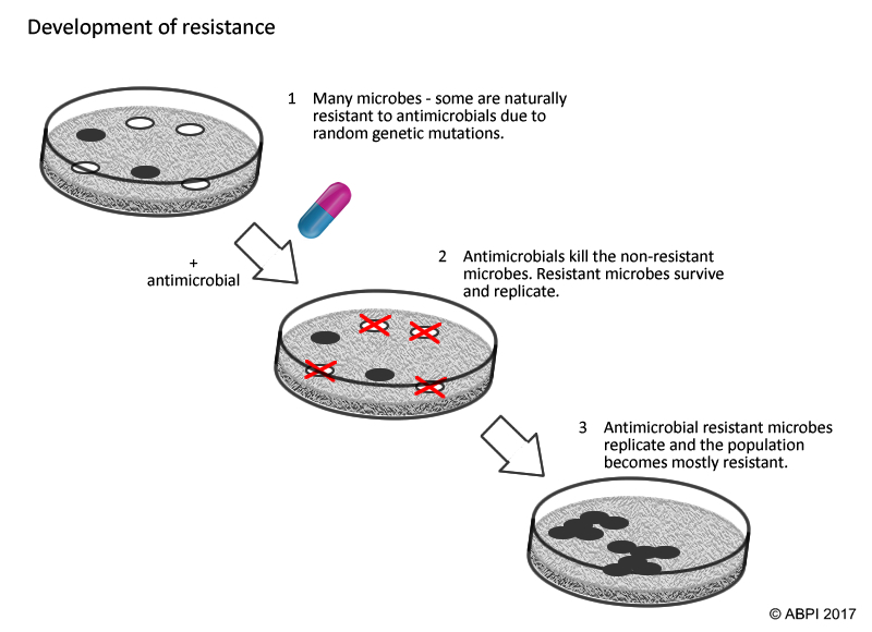Development of antimicrobial resistance